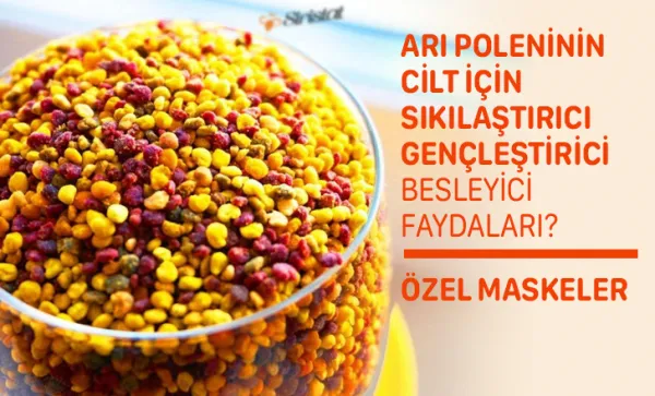 Arı Poleni - Siristat Bal