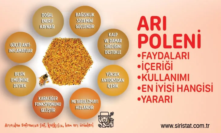 Arı Poleni Nedir, Faydaları, Nasıl Kullanılır, Tüketilir, Saklanır ...